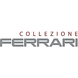 Bburago 1:24 Scale Racing Ferrari FXX-K Die Cast Vehicle (Colors May Vary)