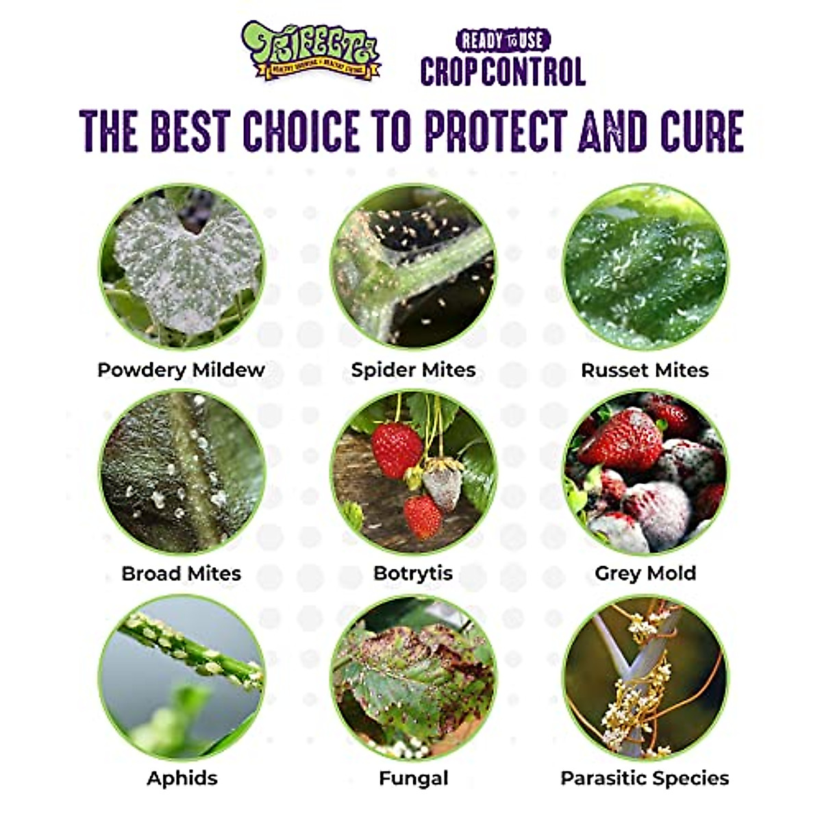 Trifecta Crop Control Ready to Use Maximum Strength Natural Pesticide, Fungicide, Miticide, Insecticide, Help Defeat Spider Mites, Powdery Mildew, Botrytis and Mold on Plants 32 OZ Size