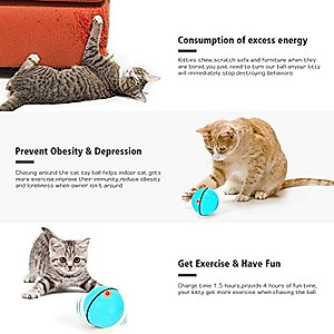 Interactive Cat Toys Ball with LED Light, 360 Degree Self Auto Rotating Intelligent Ball, Smart USB Rechargeable Spinning Cat Ball Toy,Stimulate Hunting Instinct Kitten Funny Chaser Roller Pet Toy