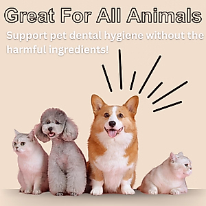 SYLVR SUPPORT- Colloidal Silver & Spearmint Teeth & Gum Spray for Dogs & Cats & Pets, Target Bad Breath, Clean Ingredient Pet Oral Care Solution (4 oz.)