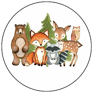 30 pcs Woodland Girl Raccoon Birthday Baby​​​​​​​​​​​​ Stickers Envelope Seals Labels Round Tags, Stamps Sticker for Gift Cards, Envelopes, Boxes for Holiday, Birthday, Christmas