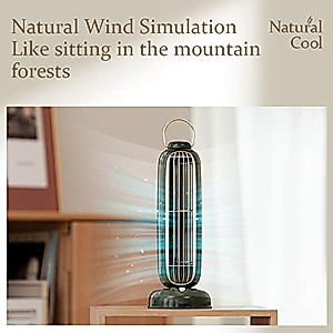 PAIKEP Oscillating Desk Fan, 12in Small Quiet Portable rechargeable USB table Fan with 4 Speeds for Home Office Bedroom Desktop (Pink)