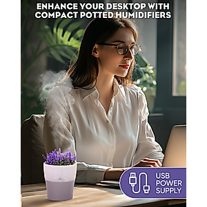 Small Humidifier For Plants, Mini Humidifiers For Bedroom Home, Lavender plant Cool Mist Humidifiers, 150m personal humidifier, Super Quiet And Waterless Auto Shut Off