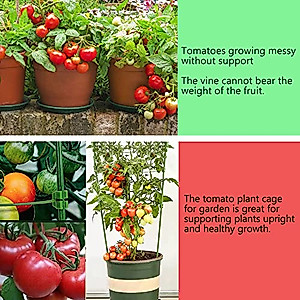 Adjustable Tomato Cage,36" Plant Support Garden Plant Stakes Cucumber Trellis with 4 Adjustable Ring for Climbing Plants Vegetables，Flowers，Fruit,Rose Vine Climbing Plants(6 Pack)