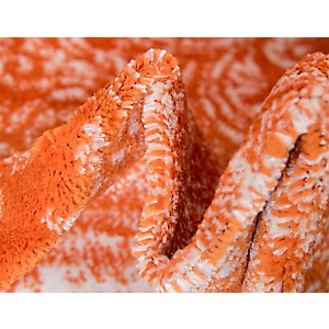 Unique Loom Sofia Collection Area Rug - Grand (7' 10" x 10' Rectangle, Orange/ Ivory)