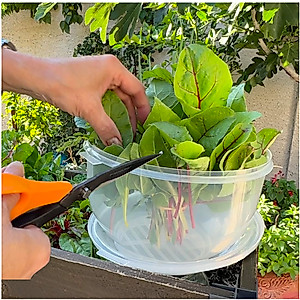 Trenton Gifts Lettuce And Vegatable Storage Keeper | 7" X 8"