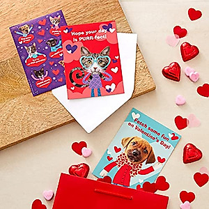 Hallmark Kids Valentines Day Cards and Stickers Assortment, Puppies and Kittens (24 Cards with Envelopes)