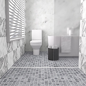 Raycity Collapsible Shower Threshold Water Dam Barrier,Shower Door and Kitchen Water Strip Dam Shower Guard for Dry And Wet Separation Caulk Seal Strip Edge Trim(39Inches/Transparent)