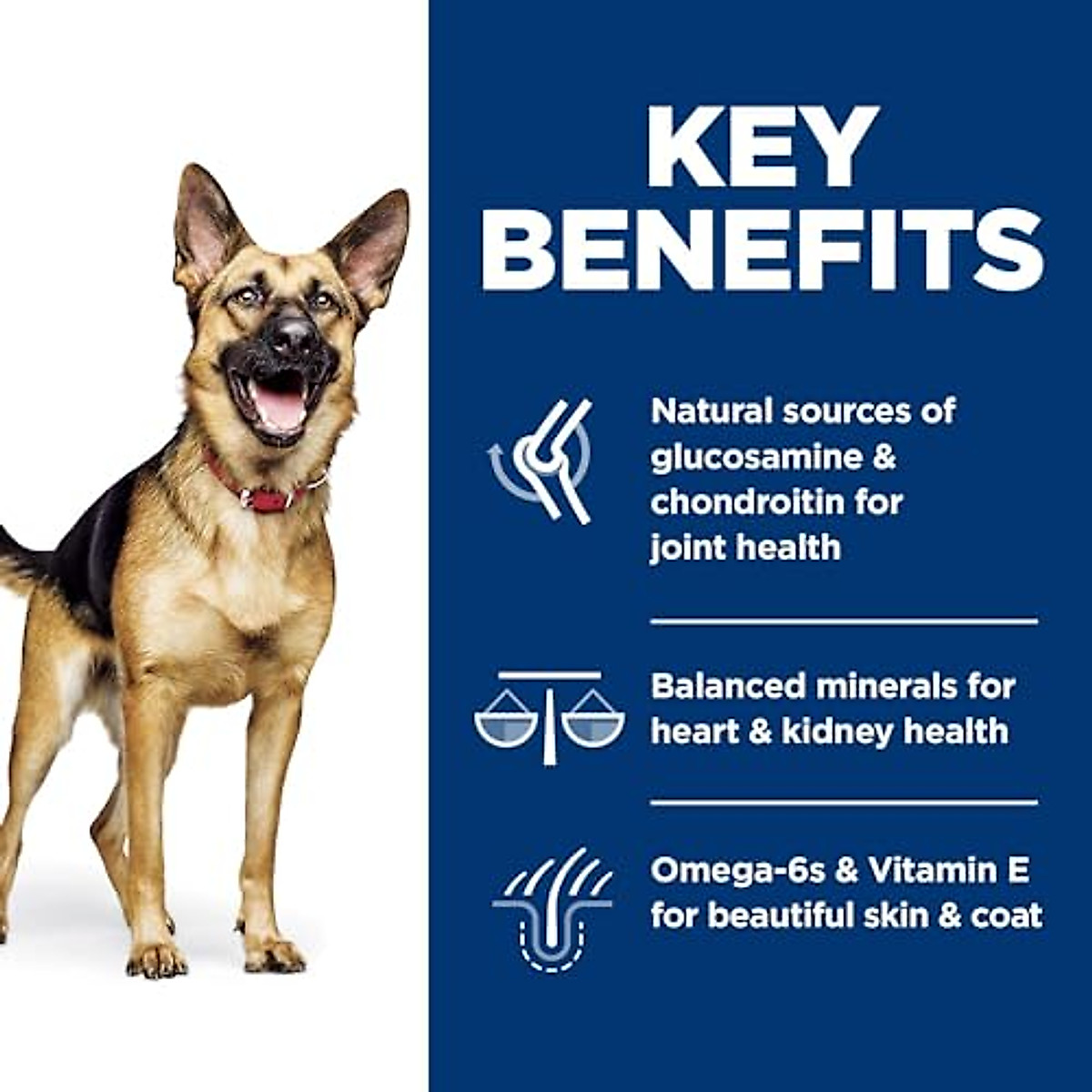 Hill's Science Diet Adult 6+ Chicken Meal, Barley & Brown Rice Recipe Large Breed Dry Dog Food, 15 lbs.