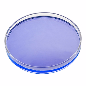 EISCO Petri Dish, 5.9" (150mm) - Beaded Edges Easy to Sterilize for Repeated Use Borosilicate Glass- Eisco Labs