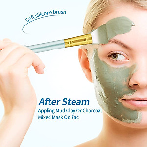 Facial Steamer, VillSure Nano Ionic Face Steamers for Facial, 100ml Portable Home Facial Humidifier Warm Mist Steam Face Machine Sauna SPA Face Steaming Skincare with Face Brushes and Hair Band