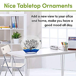 hygger Mini Glass Oblate Fish Bowl Kit, Small Fish Tank Comes with Blue Aquarium Decor Stones and Plastic Fan Branch Tree Ornament