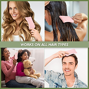 Detangler Brush, Detangling Hair Brushes for Women Men Girls Kids, Paddle Detangle Brush for Wet Dry Natural Curly Thick Fine Afro Hair, Styling Brush Gently Glide Through Knots Promotes Healthy Hair