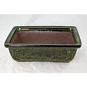 Calibonsai Rectangular Bonsai/Cactus & Succulent Pot 8"x 5.75"x 2.5" w/Mesh - Moss Green Stain