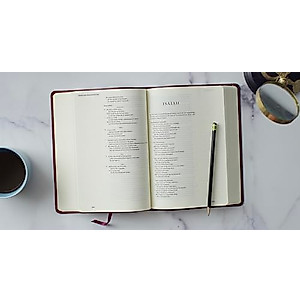 ESV Single Column Journaling Bible, Large Print (TruTone, Burgundy/Red, Timeless Design)