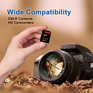 Nikon Coolpix 3200 Digital Camera Memory Card 2GB Standard Secure Digital (SD) Memory Card