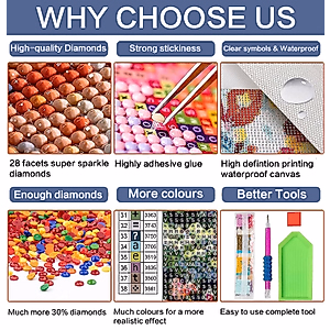 ijbnhd DIY Rose Diamond Painting Kits for Adults - Sunset 5D Diamond Art Kits, Full Drill Diamond Painting Kits, Gem Arts and Crafts for Beginner Home Wall Decor 12X16in