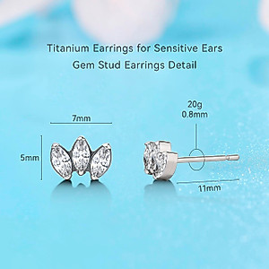Limerencia Hypoallergenic G23 Pure Titanium Earrings | Crown Cubic Zirconia | F136 Implant Grade Piercing Studs| Suitable for Sensitive Ears Delicate Jewelry (White)