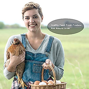 LuckyQworms Bulk Mealworms 11Lbs, High-Protein Dried Mealworms, 100% Non-GMO Mealworm Treats for Birds, Chickens, Turtles, Fish, Hamsters and Hedgehogs All Natural Animal Feed