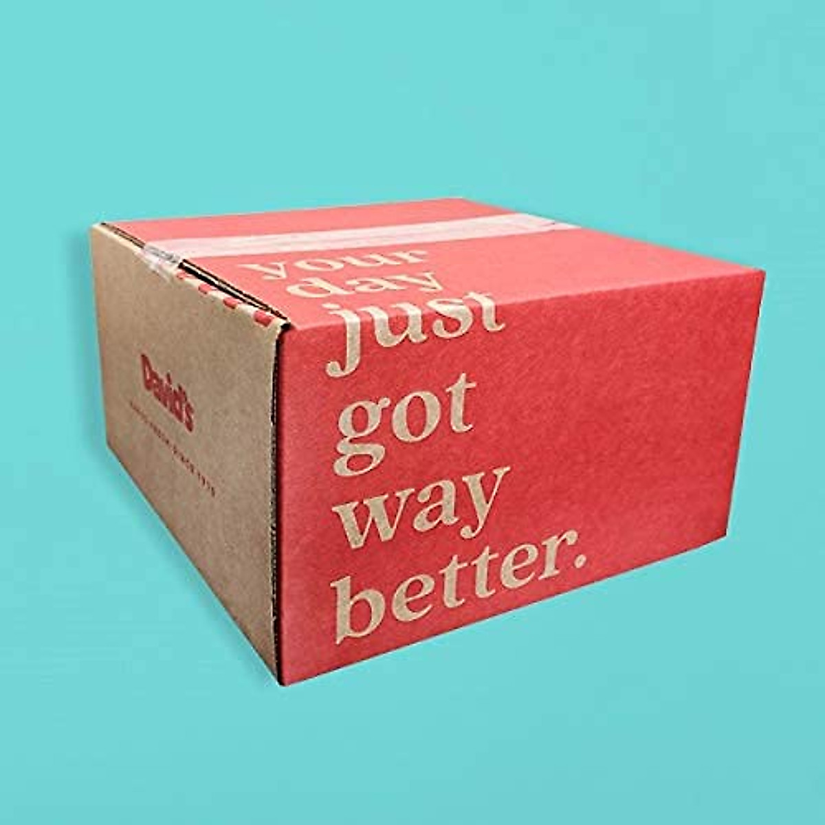 David's Cookies Gourmet Butter Pecan Meltaway with Crunchy Pecans and Powdered Sugar, All-Natural Ingredients, Kosher, Ideal Present for Special Occasions, 32 Fl Oz, Pack of 2