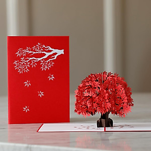 Lovepop Everyday Pop-Up Card for Her and Him- 3D Thinking of You Greeting Cards for Boys, Girls, Men, Women - 5" x 7" Maple Tree - Blank Note Card & Envelope Included