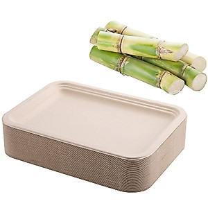 Lawei 50 Pack 14 Inch Biodegradable Paper Plates, Rectangle Compostable Disposable Food Trays 100% Heavy-Duty Sugarcane Bagasse Paper Platter for Seafood, BBQ, Picnic, Party