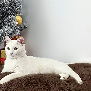 HYSEAS Faux Sheepskin Fur Area Rug Brown, 2x3 Feet, Fluffy Soft Fuzzy Plush Shaggy Carpet Throw Rug for Indoor Floor, Sofa, Chair, Bedroom, Living Room, Home Decoration