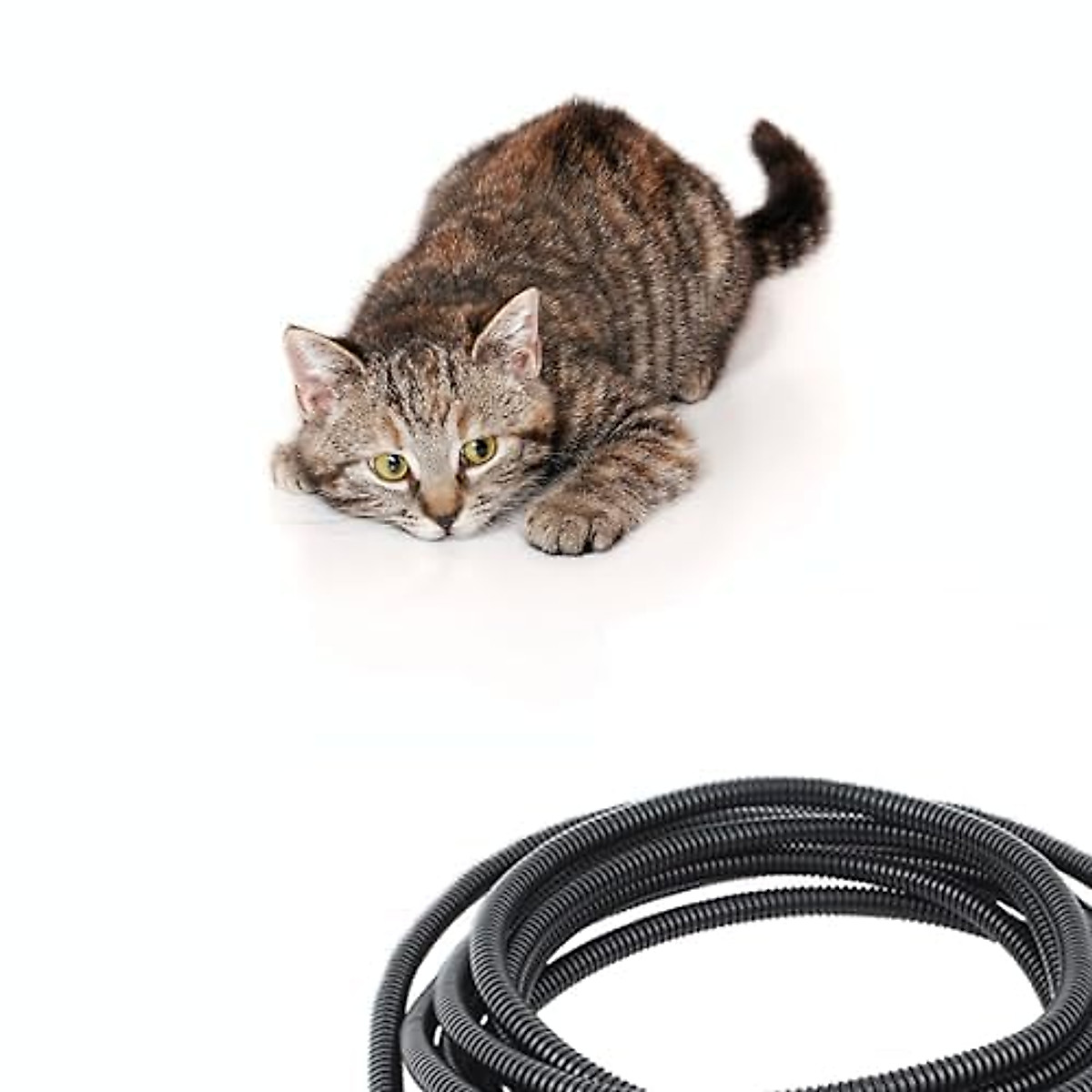 SunGrow Dog and Cat Cord Protector, 3/8 Inch Diameter, Dog, Cat, Ferret Cord Protector from Wire Chew, Cable Protector Tubing, Stop Chewing Cable Management Sleeve (20 Feet)