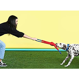 ZippyPaws - RopeTugz Blue Monkey Dog Toy - Durable Rope, Squeaky Chew Toy, Perfect for Tug of War, Suitable for Small, Medium, and Large Breeds - Machine Washable