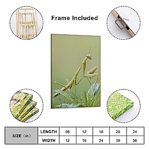 Puryzxac Beautiful Praying Mantis Insects Natural Living Room Wall Art Canvas Wall Art Prints for Wall Decor Room Decor Bedroom Decor Gifts 16x24inch(40x60cm) Frame-style