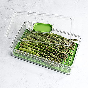 Goodful Produce Keeper, Adjustable Air Vents, Removable Insert/Colander, Durable Food Safe Material, Stackable, Clear and Green, Flat, 11.6" x 6.8" x 2.8"