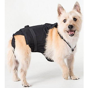 Dog Diaper Wrap SMALL (LONG) BLUE