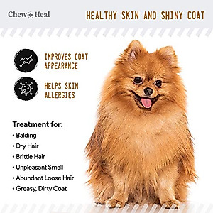 Chew + Heal Salmon Oil for Dogs - 180 Soft Chew Omega Treats for Skin and Coat - Fish Oil Blend of Essential Fatty Acids, Omega 3, 6, and 9, Vitamins, Antioxidants and Minerals - Made in USA