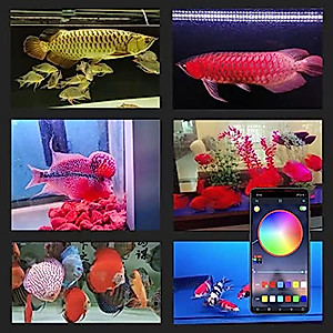 DOCEAN Aquarium Lighting Fish Tank Light with APP Control, RGB Color Changing, with Timer 9 LEDs, 7 inch/18cm, for Aquarium/Fish Tank