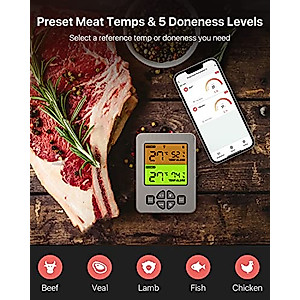 NEXMEE Bluetooth Grill Thermometer, Digital Wireless BBQ Meat Thermometer, Grill Thermometer with 2 Probes, Roast Thermometer with Magnet for Kitchen, Oven, Grill, Steak