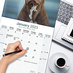 American Pit Bull Terrier Calendar - Dog Breed Calendars - 2022 - 2023 wall calendars - 16 Month by Avonside