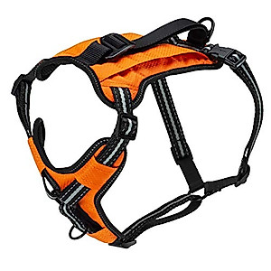 PetSafe Walk-Along Outdoor Dog Harness, No-Pull Solution, Water-Resistant, Zippered Pouch for Storage, Built-in Car Restraint, Medium