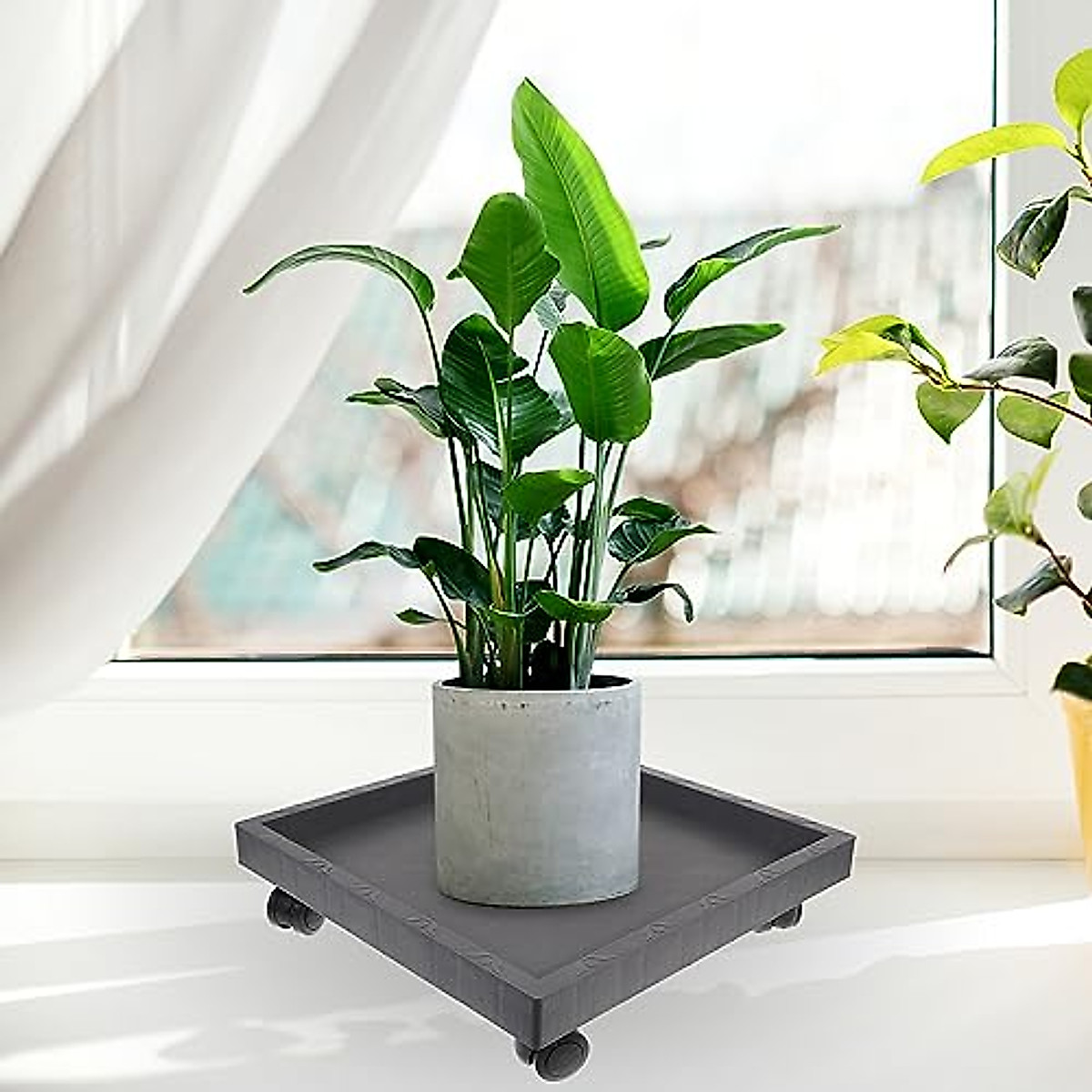 Holibanna Plant Stroller Plant Caddy Plant Caddy Movable Flower Pot Stand Square Flower Pot Mover Plastic Planter Pallet Dolly Caster with Wheels for Indoor Outdoor Resin Plant Pots Tray Food Tray