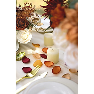 Lookein 300pcs Terracotta Rose Petals Satin Flower Petals for Wedding Flower Girl Basket Table Centerpieces Aisle Runner Party Confetti Bridal Shower Dinner Wedding Decoration