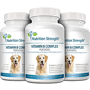 Nutrition Strength Vitamin B for Dogs, Complete B Complex for Dogs, Promote Blood Cell & Nervous System Health, Help Sustain Cellular Energy Production & Maintain Brain Function, 120 Chewable Tablets
