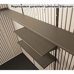 Lifetime 6405 Outdoor Storage Shed with Window, Skylights, and Shelving, 8 by 10 Feet