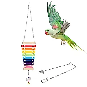 GLOGLOW Chicken Toy, Coop Xylophone Chicken Xylophone Xylophone Toy for Pet Chicken
