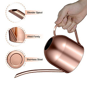 YARDWE 1000ml Stainless Steel Watering Can Plant Watering Can with Long Spout Small Size for Home Garden Office Bonsai Indoors and Outdoors