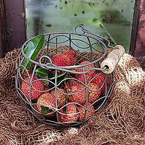 Metal Wire Egg Baskets for Collect Fresh Egg Baskets Countertop Holder, LINCOUNTRY Rustic Round Small Chicken Basket Gathering Fresh Egg With Handle,Country Primitive Farmhouse Vintage Storage Gift