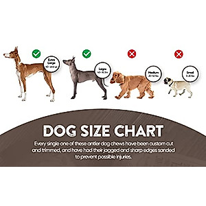 WhiteTail Naturals | Premium Deer Antlers for Dogs (Extra Large) | All Natural Antler Dog Chew | Naturally Shed, Long Lasting Chew Bone, Made in USA