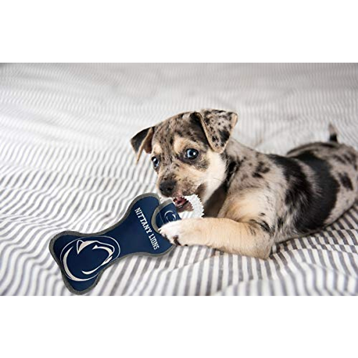 Pets First NCAA Penn State Nittany Lions College Dental Tough Dog TUG Bone Toy with Built-in Squeaker Attached to a Safe Rubber Teething Toothbrush PET Toy, Team Color, 14 x 5 (PA-3310)