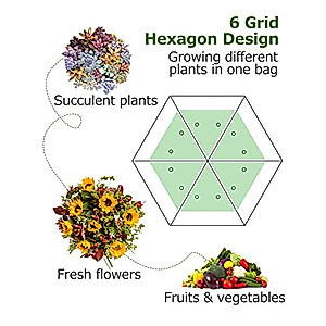 2 Pack 27 Gallon PE Fabric Raised Garden Planter Bed- Sturdy 6 Divided Grids Raised Vegetable Grow Bags with Handles & Drainage Holes Durable Hexagon Potato Tomato Planting Grow Pot for Plants Flower