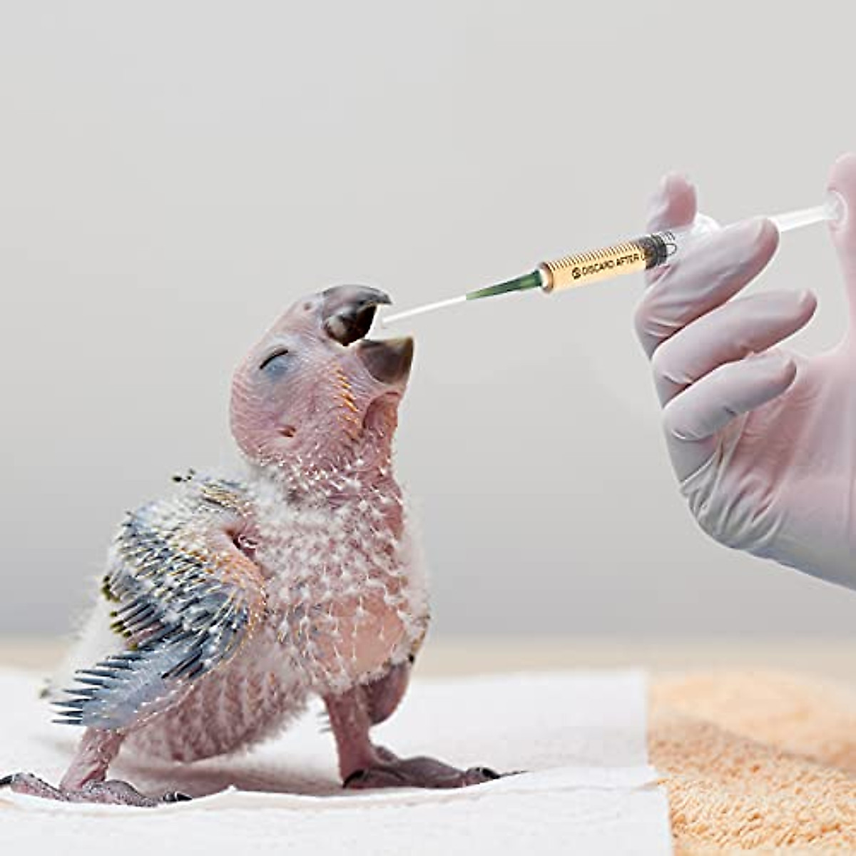 Soft Birds Feeding Hose Puppy Food Birds Water Feeder Bird Feeding Tubes Birds Feeding Hoses, 3pcs Parrot Feeding Hose Tool Birds Feeding Dropper Feeding Tube Birds Feeding Tool