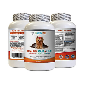 Dog Hair and Skin Supplements - Dog Healthy Hair and Coat - Shinny Coat - Skin Health - Immune Support - Nail Health - coq10 for Dogs - 60 Treats (1 Bottle)