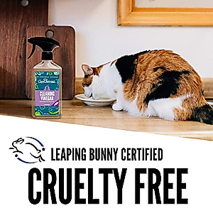 Aunt Fannie's All Purpose Cleaning Vinegar, Multisurface Spray Cleaner, 16.9 Ounces, Lavender Scent (Pack of 1)